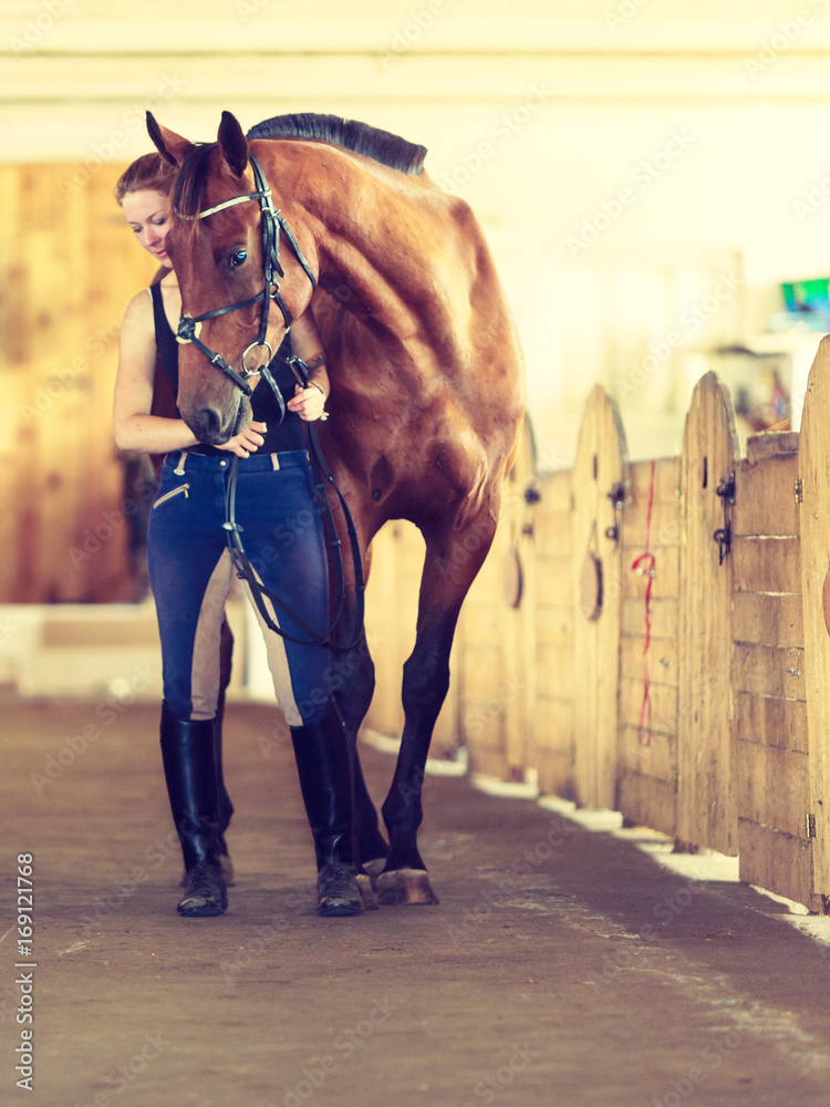 Young woman girl in stable with horse. Stock Photo | Adobe Stock