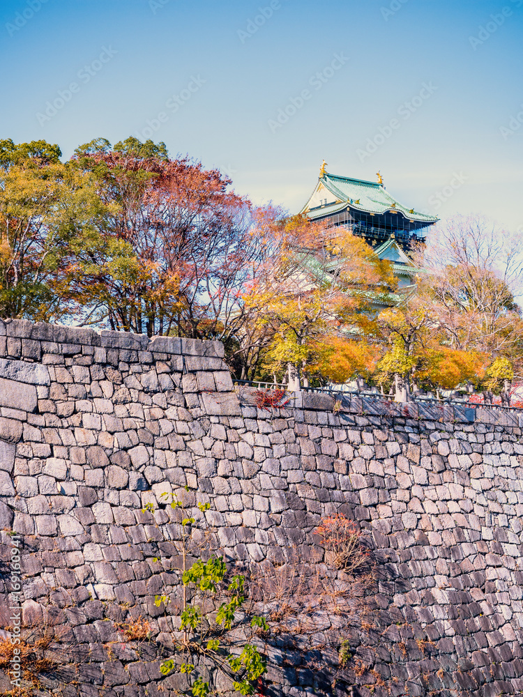 side of osaka castle with blue sky , red leaves of ginkgo tree and old ...