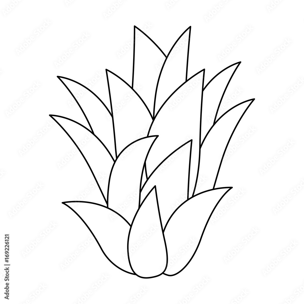 Sweet and delicious pineapple leaves, icon vector illustration graphic ...