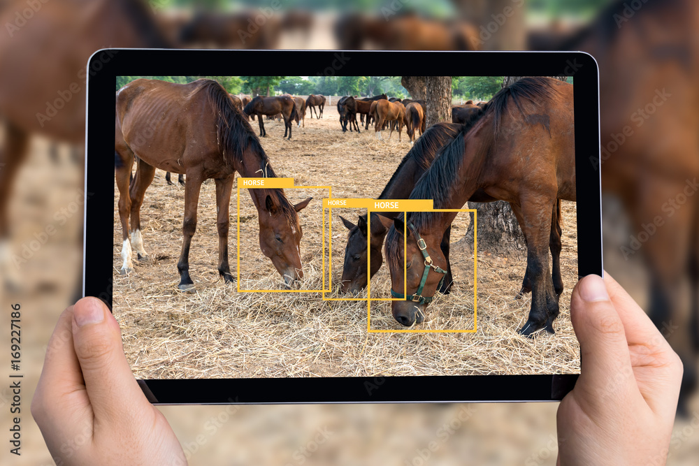 Fotka „Machine Learning analytics identify animal technology ...