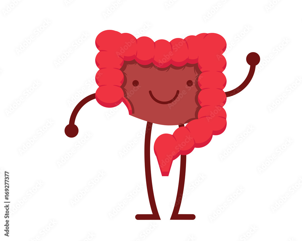 Healthy Happy And Cute Human Anatomy Illustration Cartoon - Cute Happy ...