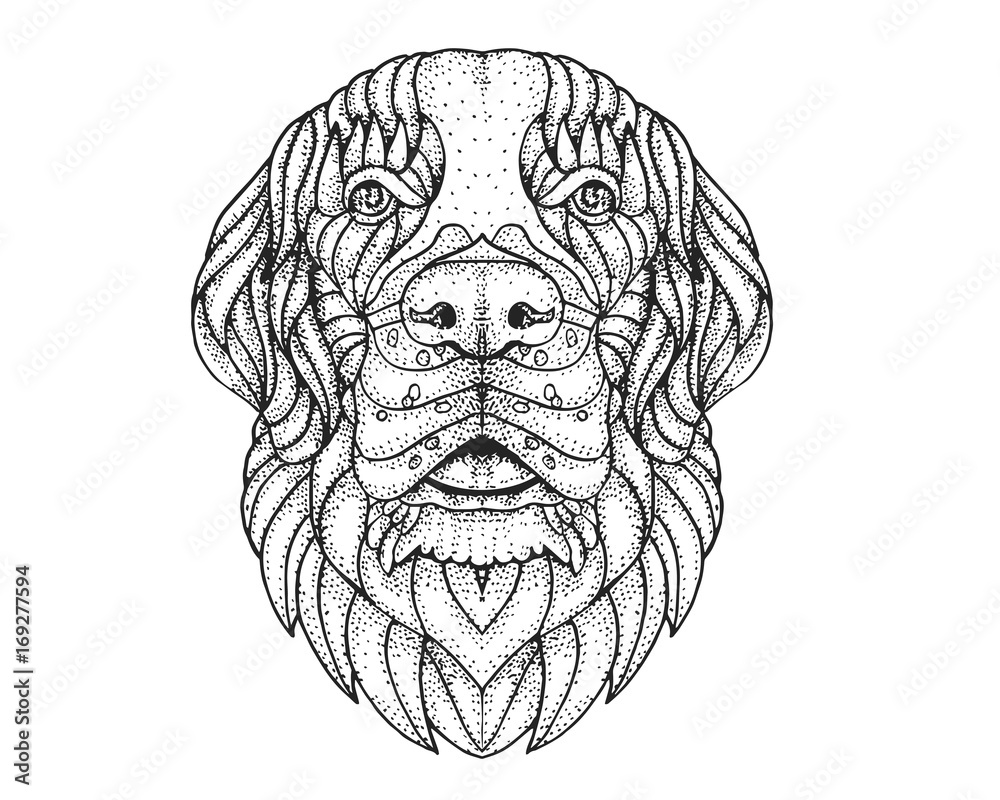 Detail Dotted Style Hand Drawing Dog Illustration - Golden Retriever ...