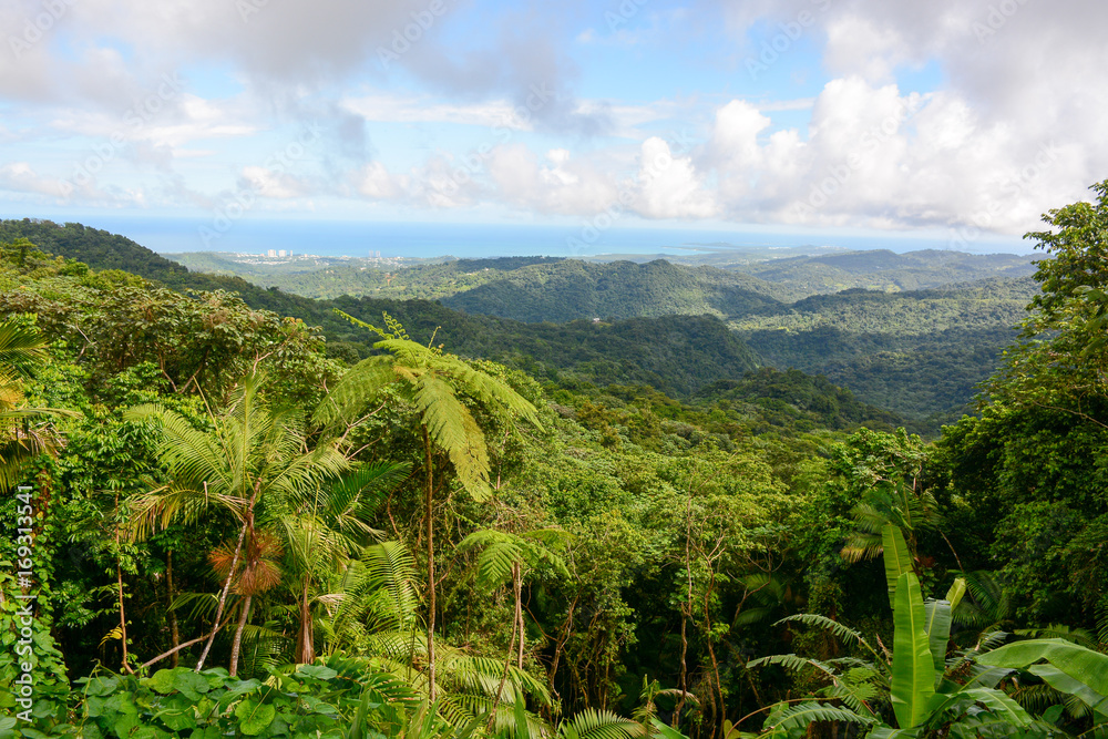 Panoramic view to El Yunque national forest in Puerto Rico Stock Photo ...
