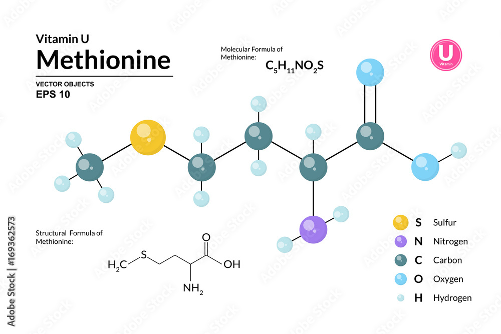 Vetor de Structural chemical molecular formula and model of Methionine ...