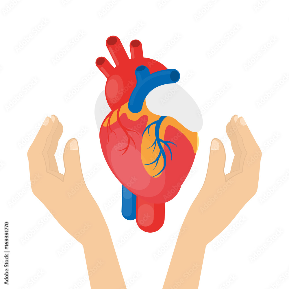 Heart in hands Stock Vector | Adobe Stock