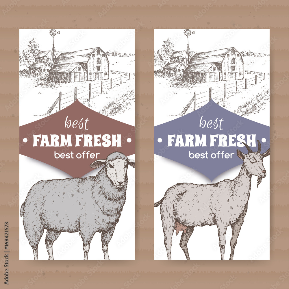 Two farm shop labels with farmhouse, barn, sheep and goat on white ...