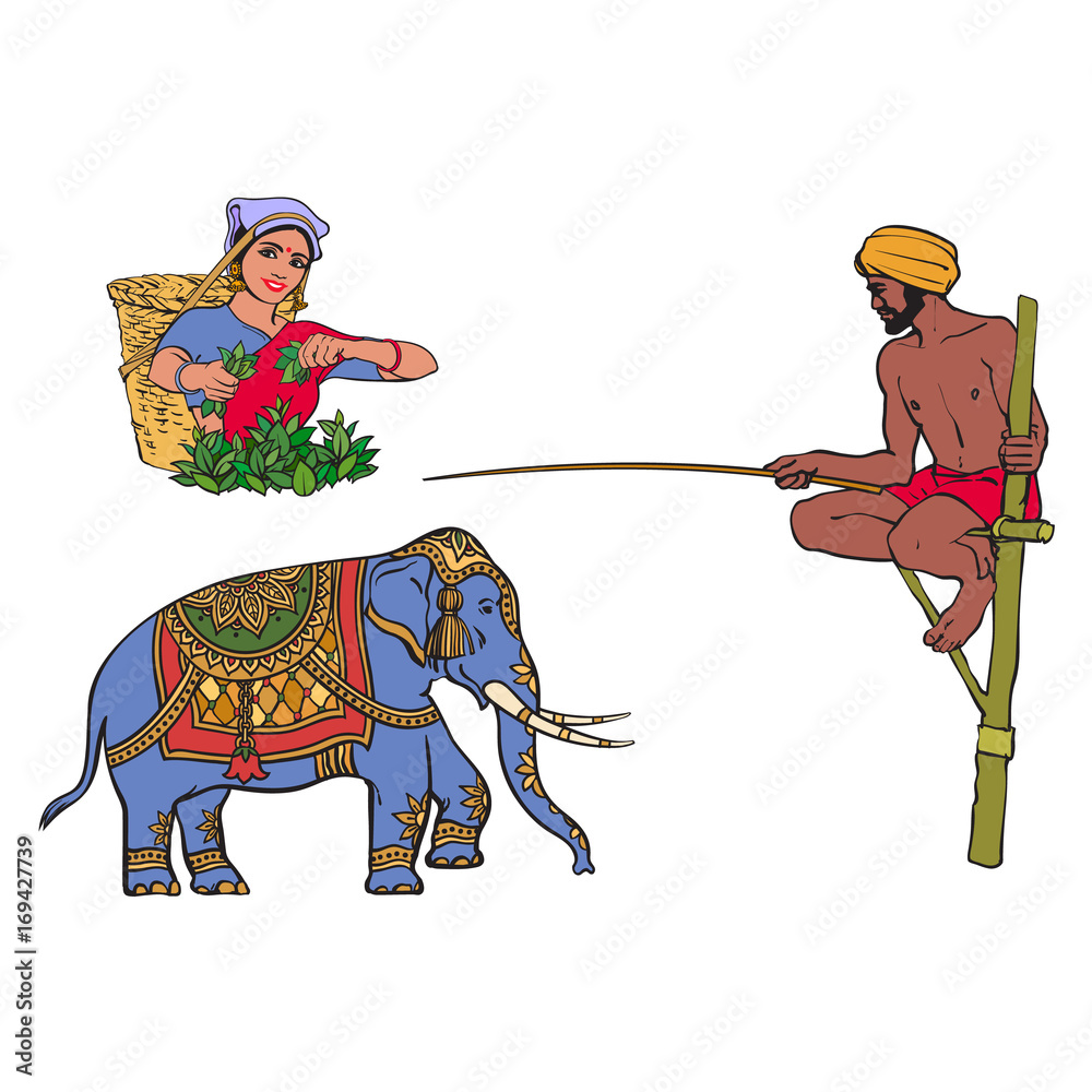 vector sketch cartoon local indian man in handscarf pagri or turban ...