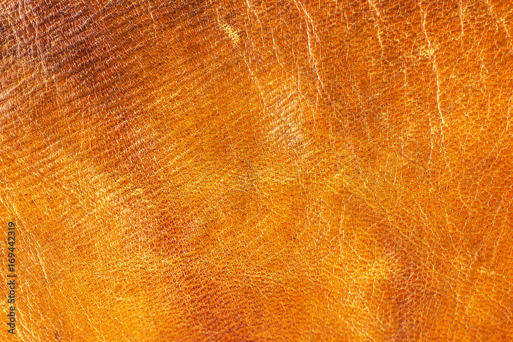 Camel Skin Texture