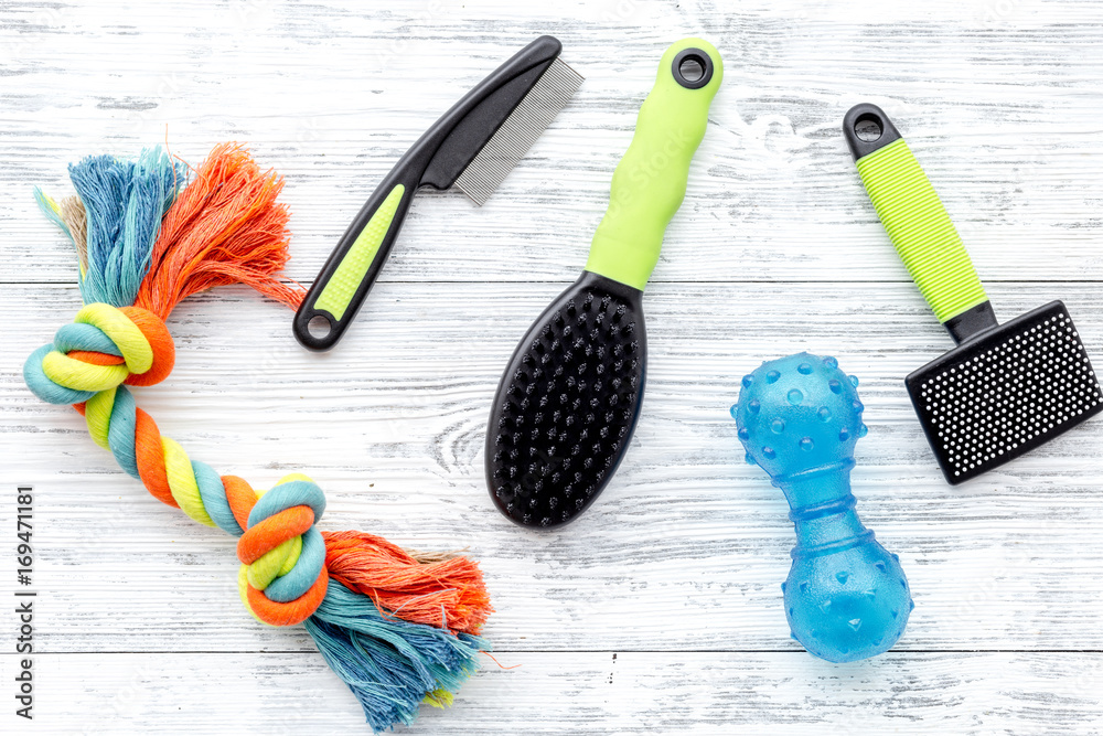 grooming equipment with brushes and toys for care and training pet on ...