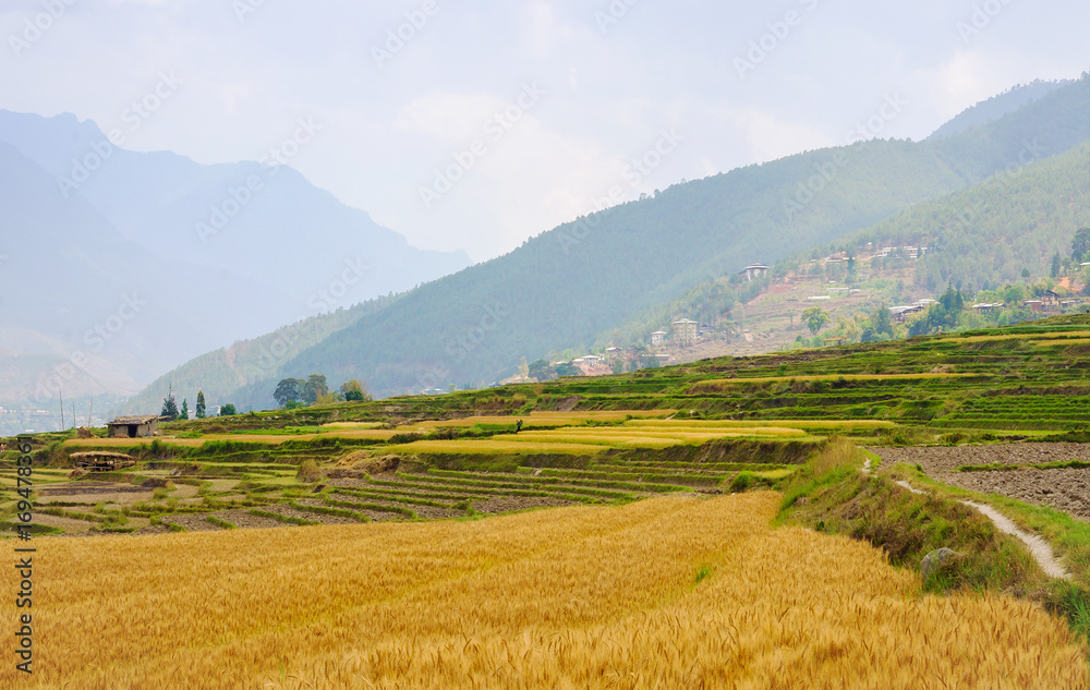 Himalaya Range. Bhutanese mountain valley view. Asian landscape with ...