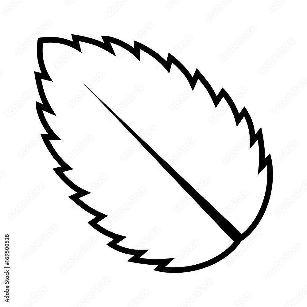 Peppermint / Spearmint mint or mentha leaf line art vector icon for ...