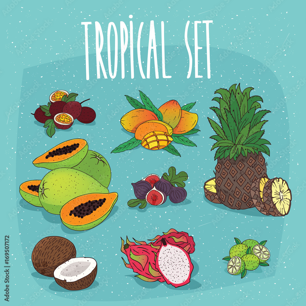 Set of isolated clipart, tropical fruits, passion fruit, mango ...
