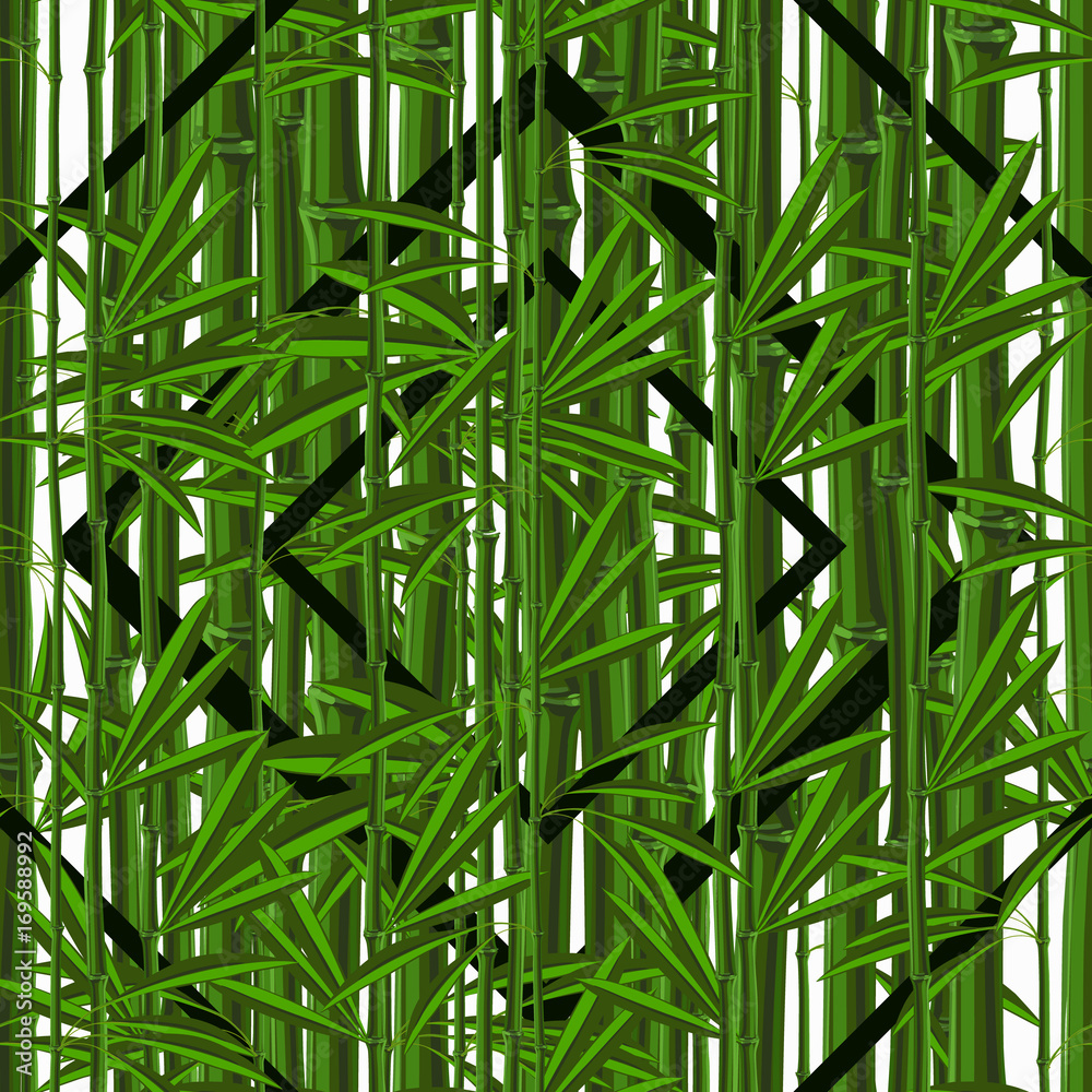 Geometric Patterns In Nature