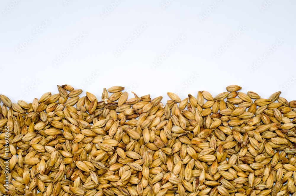 Textura de malte de cevada para fundos Stock Photo | Adobe Stock