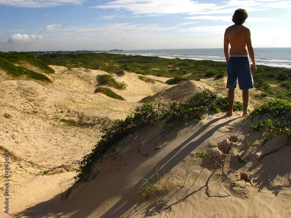Foto de Restinga (Vegetação) | Biome restinga fotografado em Guarapari ...