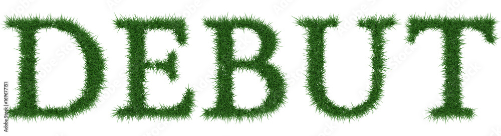 Debut - 3D rendering fresh Grass letters isolated on whhite background ...