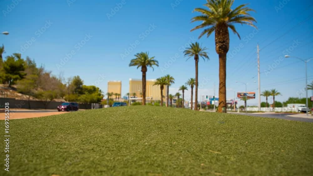 Palm Trees and Grass Las Vegas Strip Start Median. a low angle dolly ...