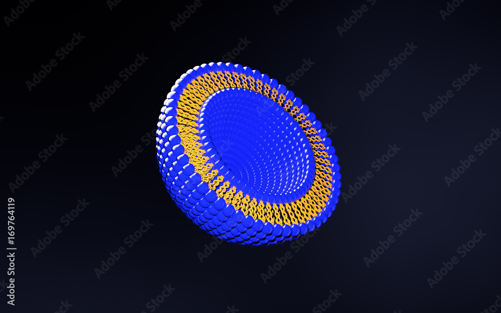 Medical 3D illustration of liposomes bi-layer structure isolated on ...