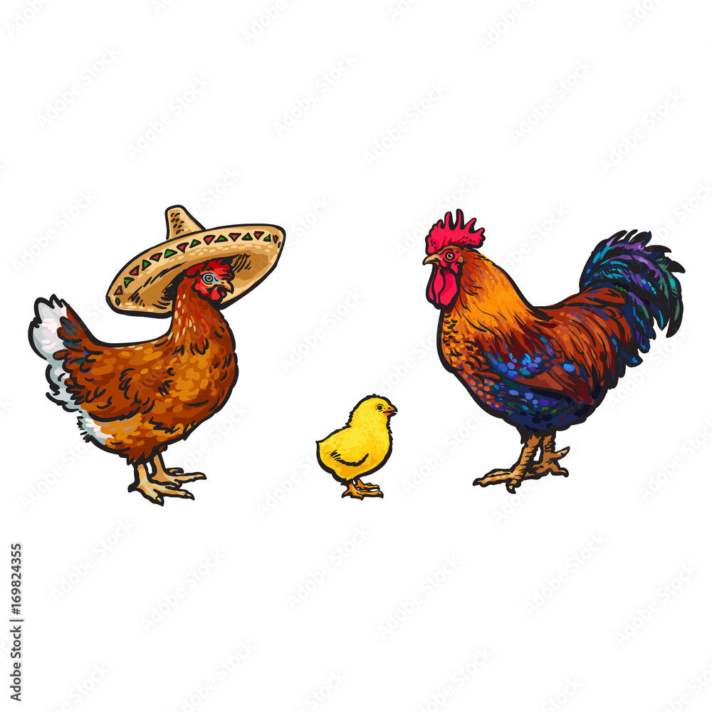 Yellow Chicken White Background
