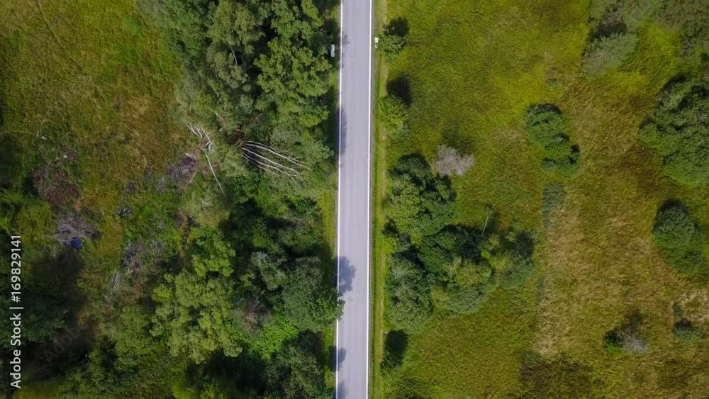Lush green country road - Top down aerial view Stock Video | Adobe Stock