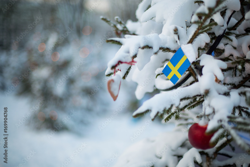 Swedish Winter Christmas
