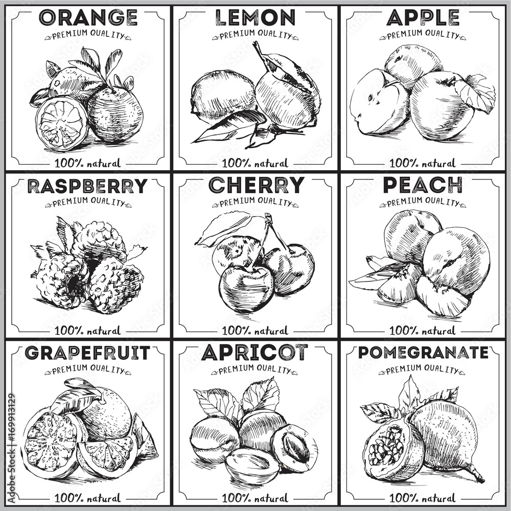 Eco food labels set. Hand drawn black sketch fruits. Farmers market ...