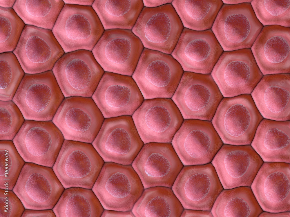 3d illustration of a hexagon shaped cell pattern Stock Illustration ...