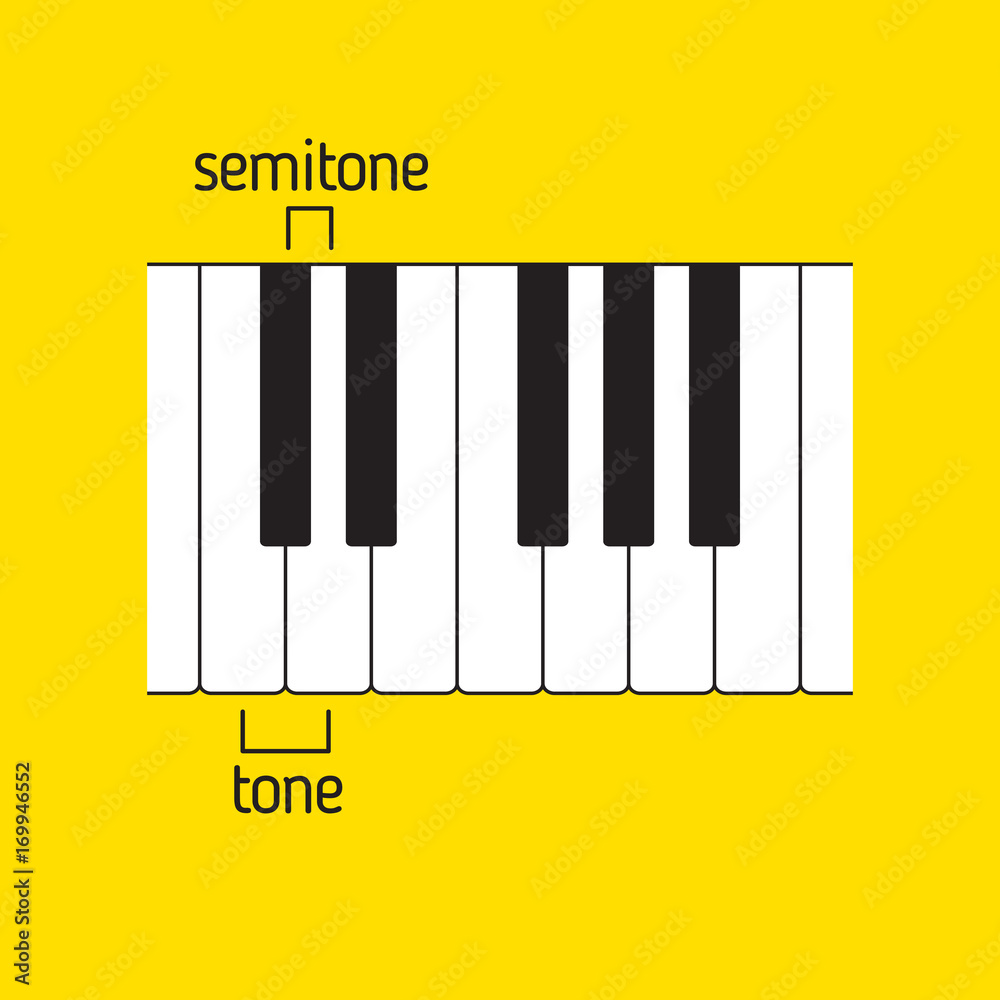 Piano keyboard top view with tone and semitone. Music theory Stock ...