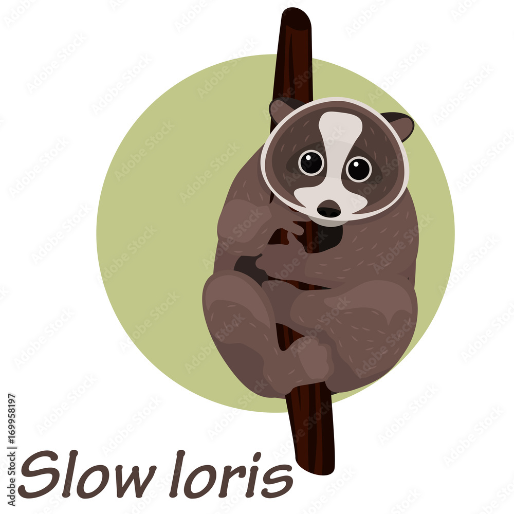 Cartoon slow loris on a tree vector illustration. Stock Vector | Adobe ...