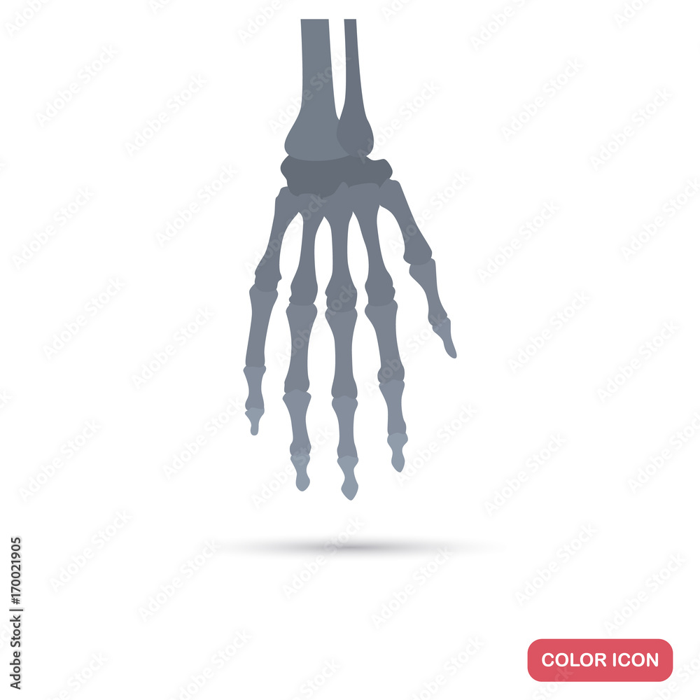 Human hand skeleton color flat icon for web and mobile design Stock ...