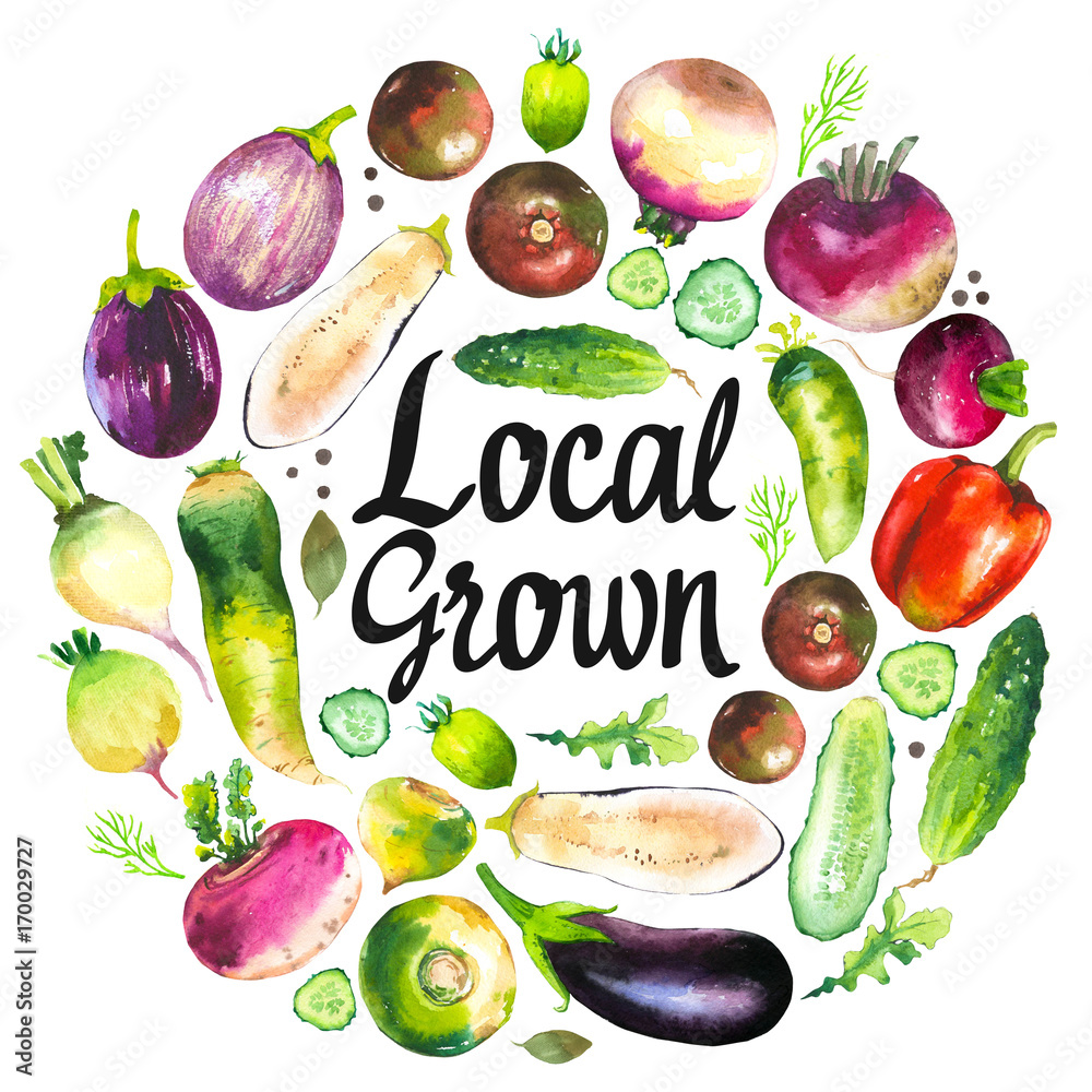 Watercolor Vegetable Illustrations