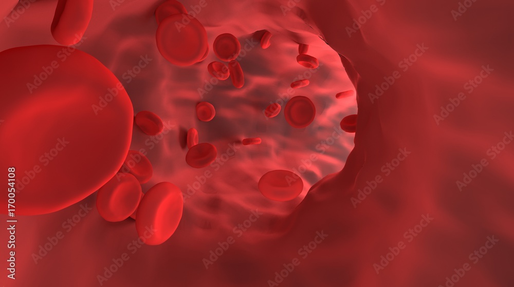 Red blood cell in blood vessel. Stock Illustration | Adobe Stock