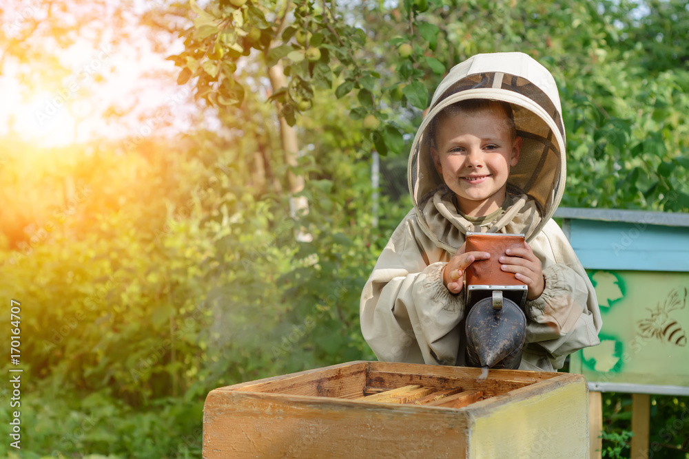 The boy beekeeper works on a beehive at the hive. Apiary. Bees ...
