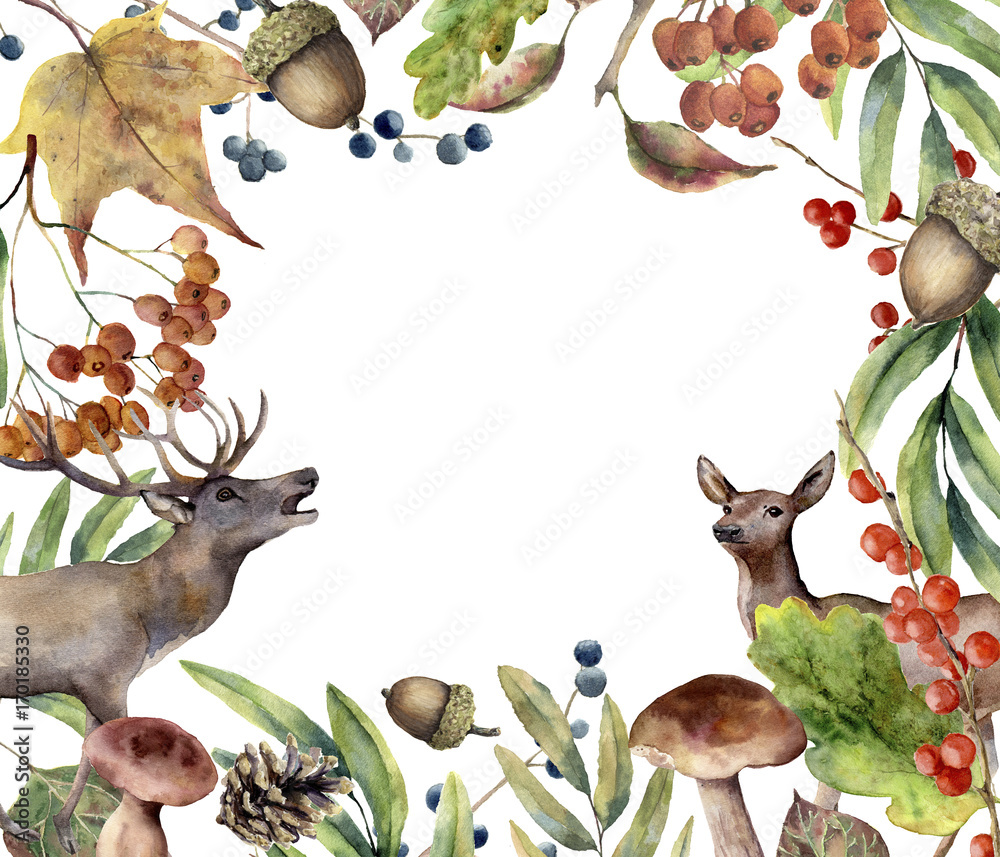 Forest Border Design