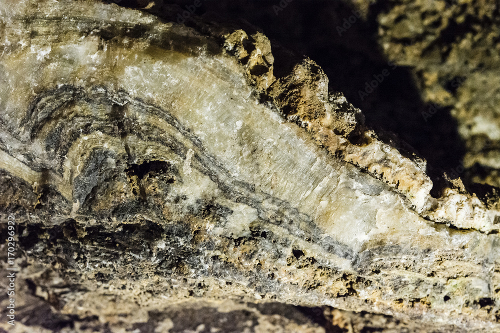 Poster A cross-section with stalagmites. – Wall Art | UkPosters