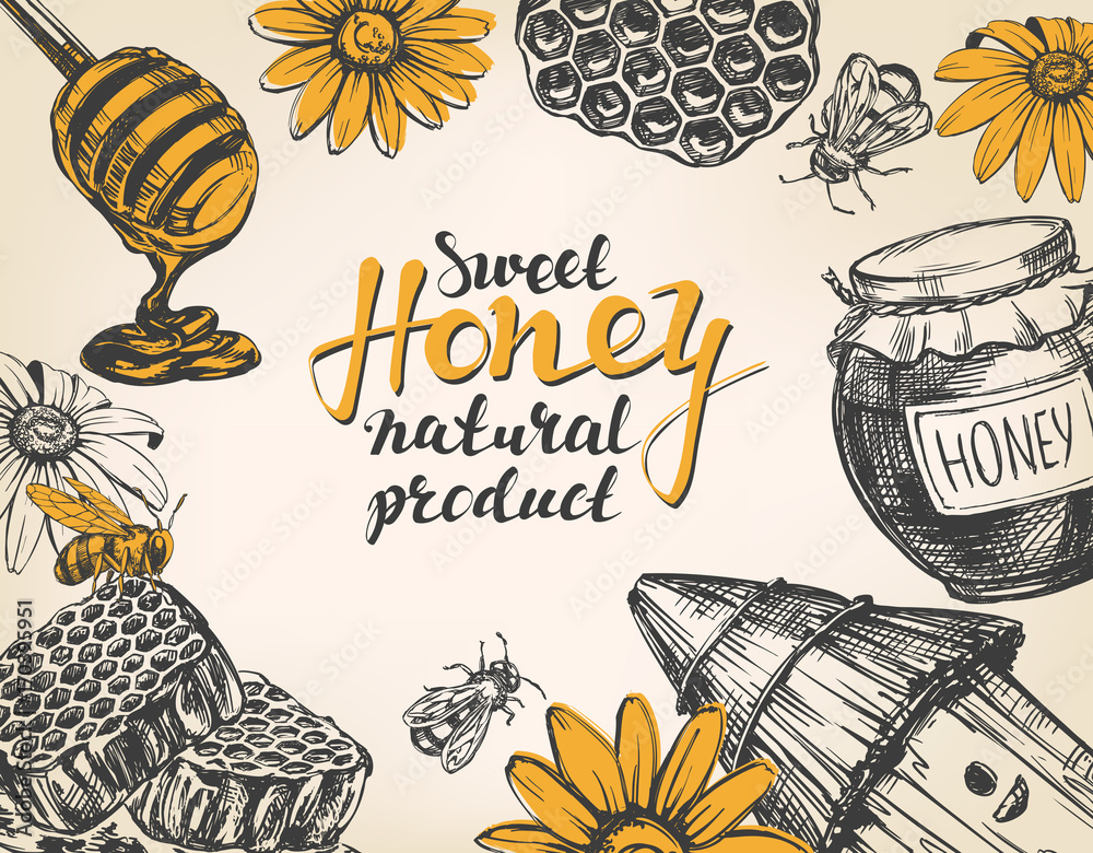Honey frame. Design elements set. Detailed engraved. Vintage hand drawn ...