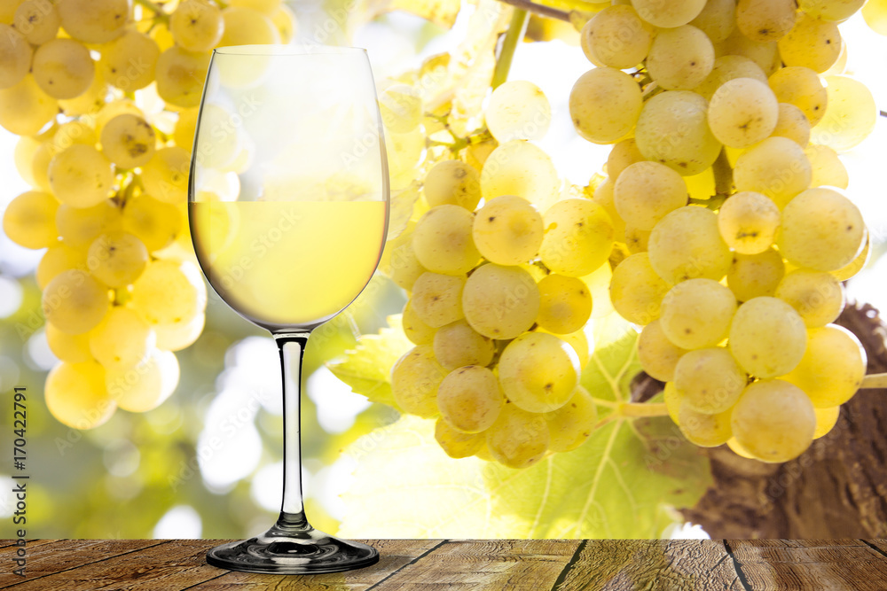 Weißwein mit Trauben Photos | Adobe Stock