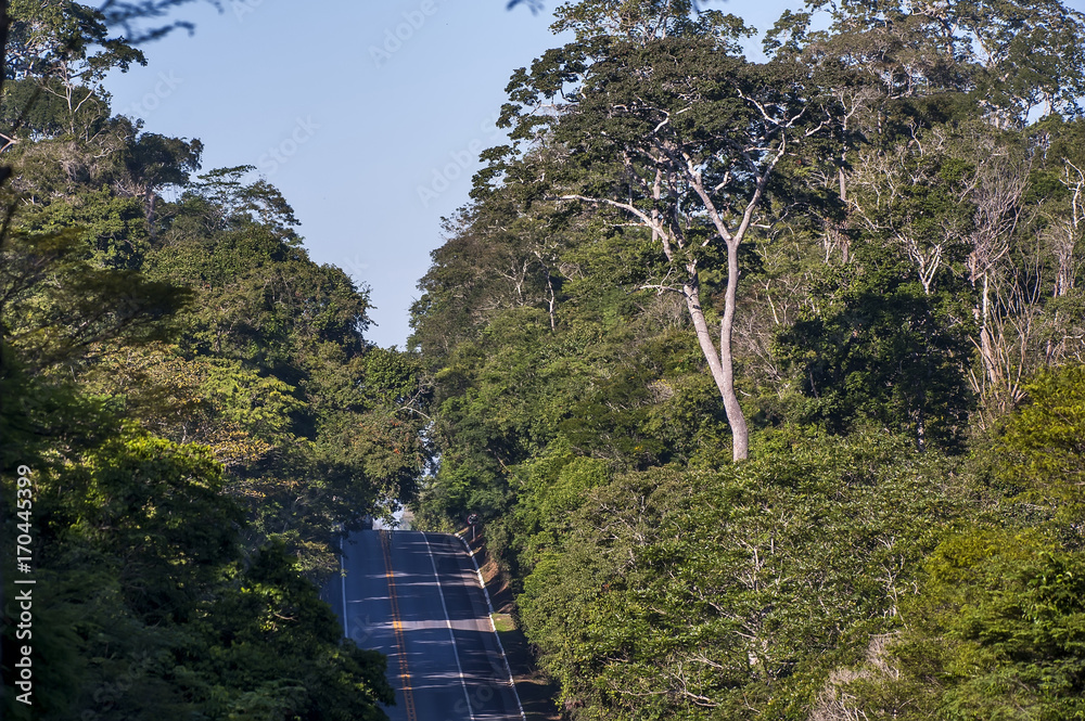 Foto de Rodovia BR 101 (Estrada) | BR-101 Transcoastal Highway ...