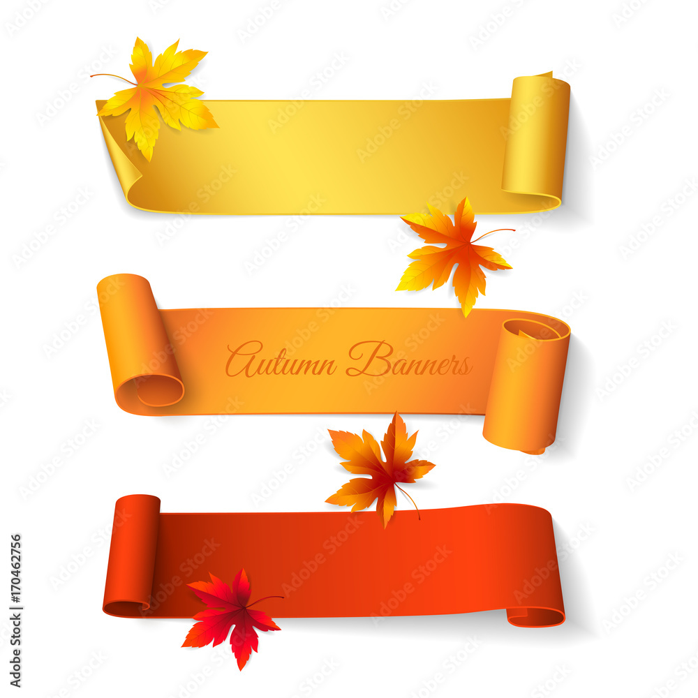Set of curved short colored ribbons with maple leaves. Vector realistic ...
