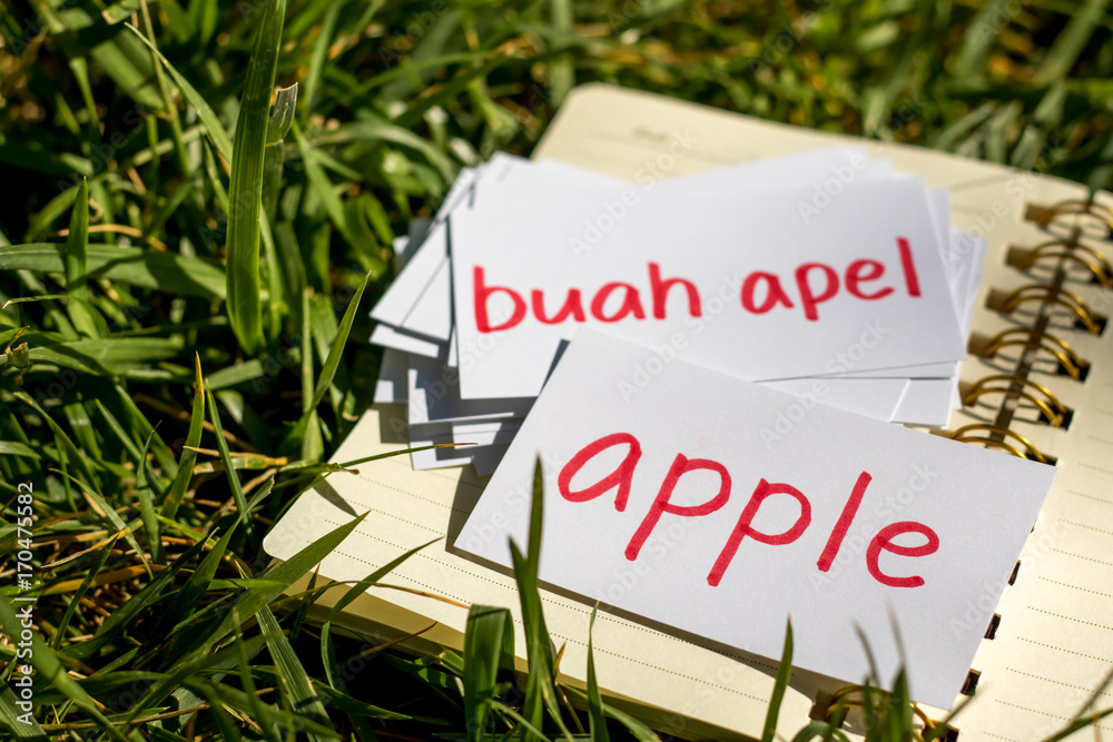 Indonesian and English; Learning New Language with Handwritten Flash ...