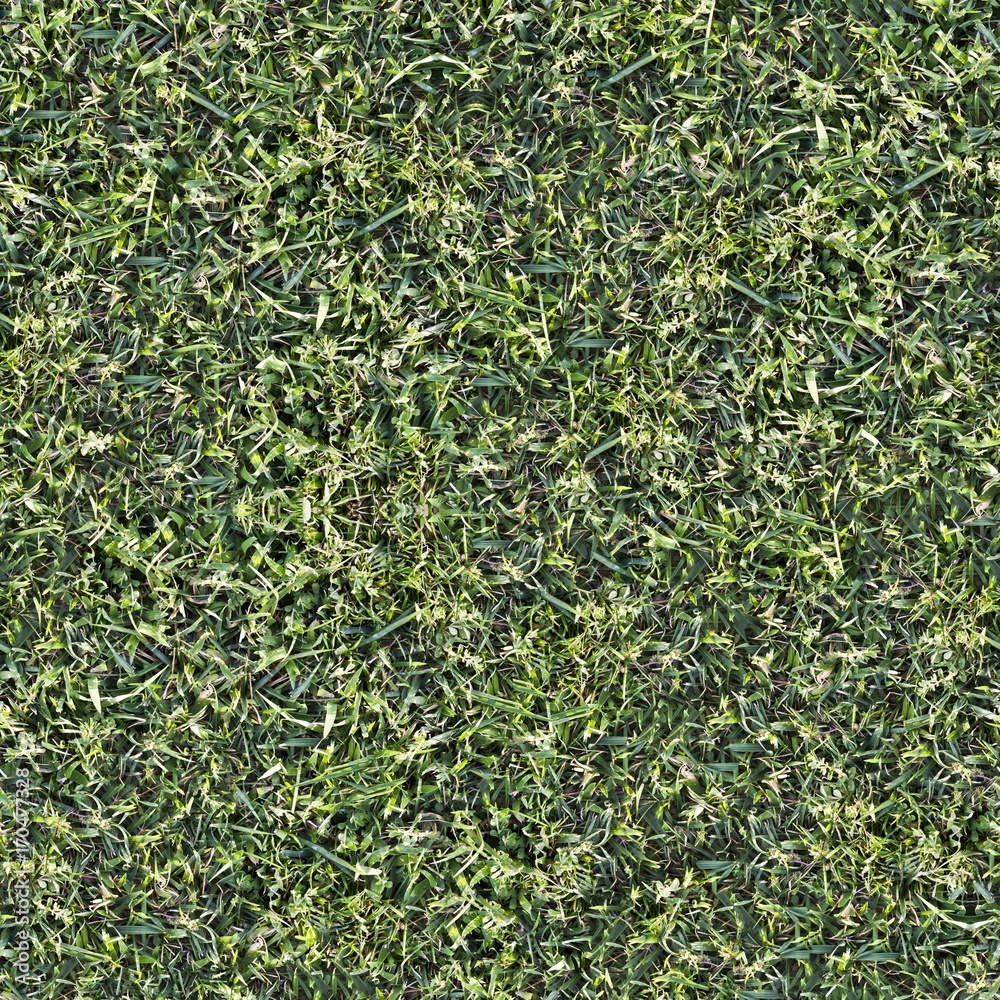 Seamless Tileable Natural Ground Field Texture Background Stock Photo ...