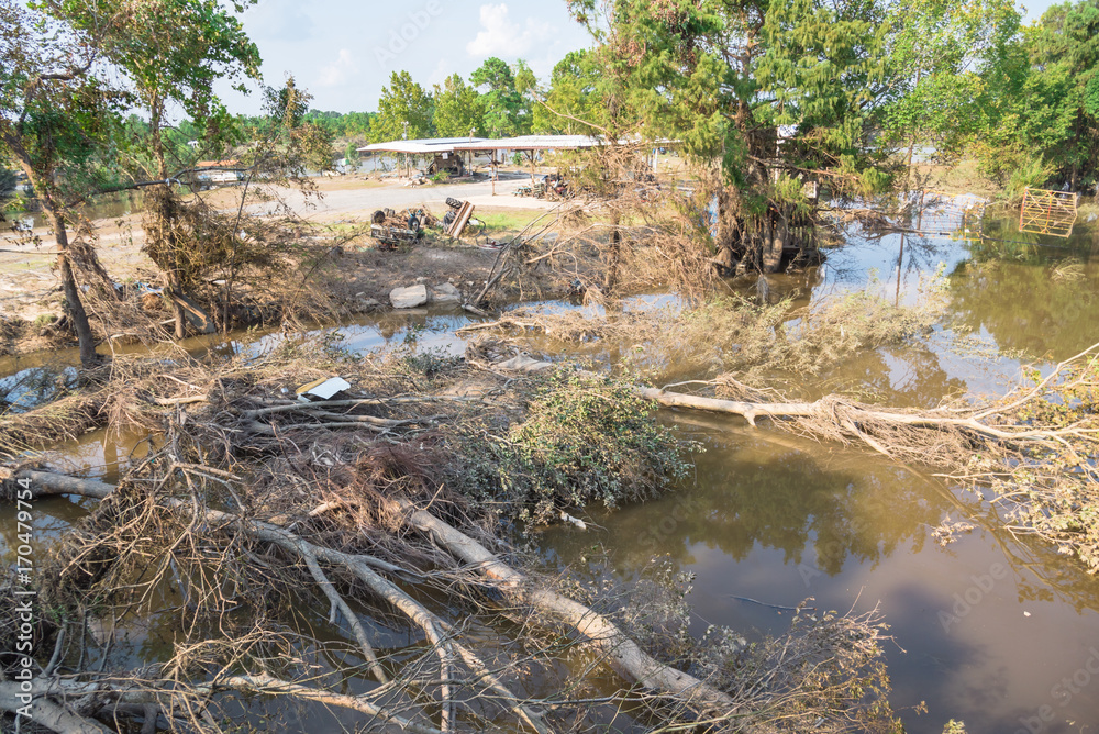 Many uprooted trees and pile of debris on dangerous part of landslip river/stream section after ...
