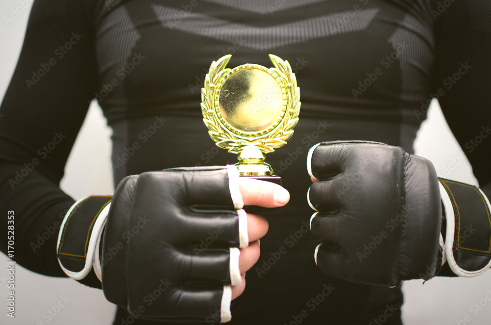 Boxing king, fighter champion, best of the best concept. Fighting ...