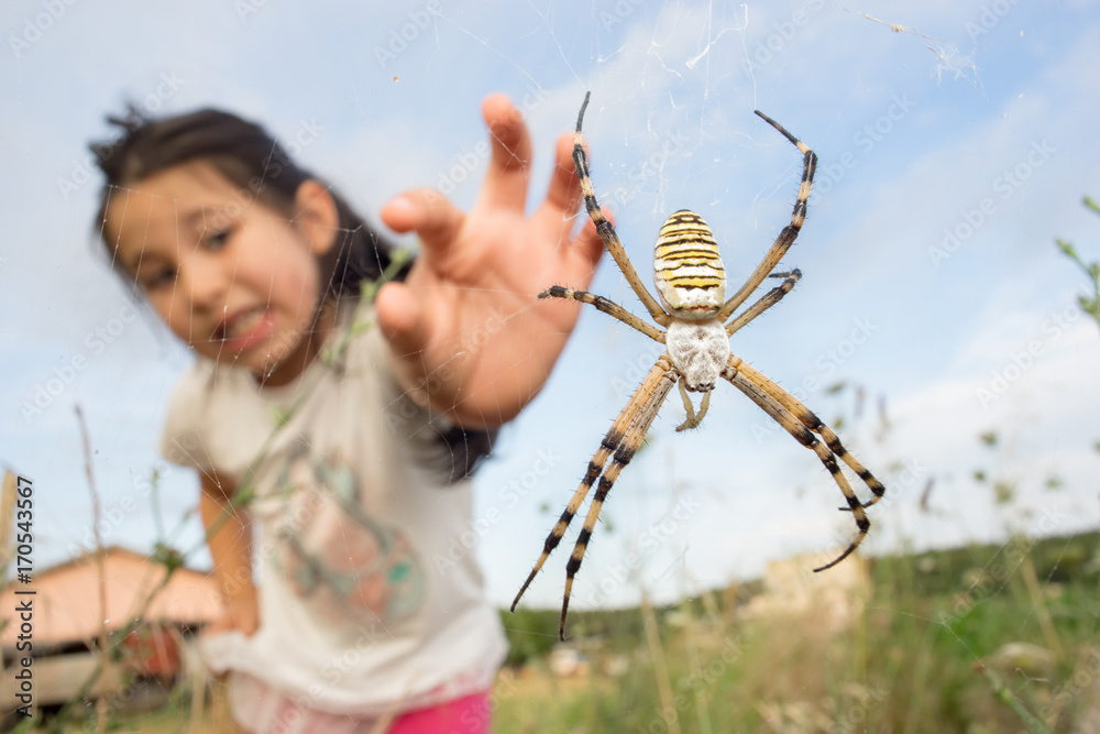 Brave young girl observing a huge spider. Curiosity and fear concept ...