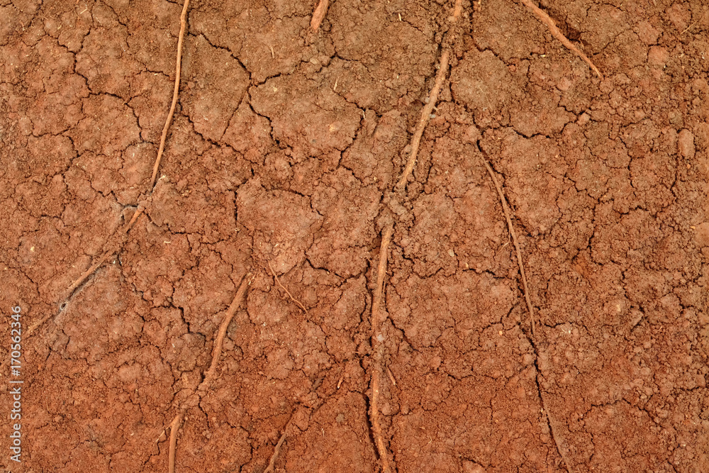 peat soil texture background Stock Photo | Adobe Stock