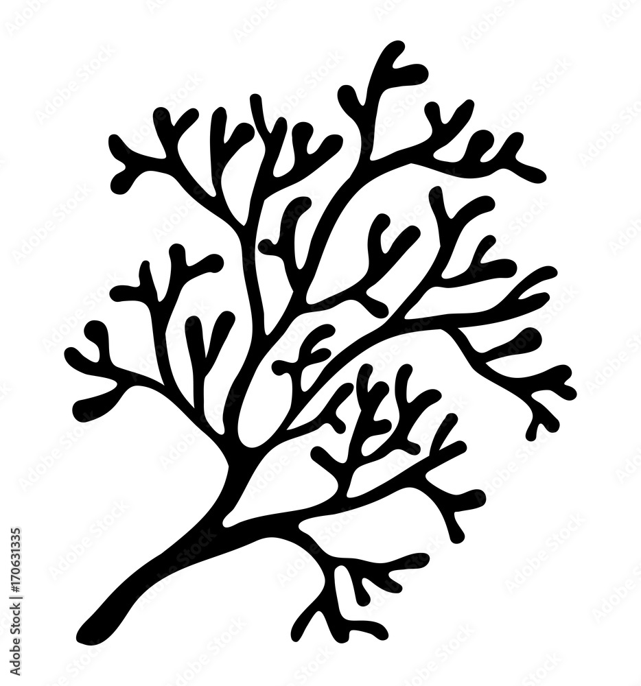 red algae silhouette vector symbol icon design. Beautiful illustration ...