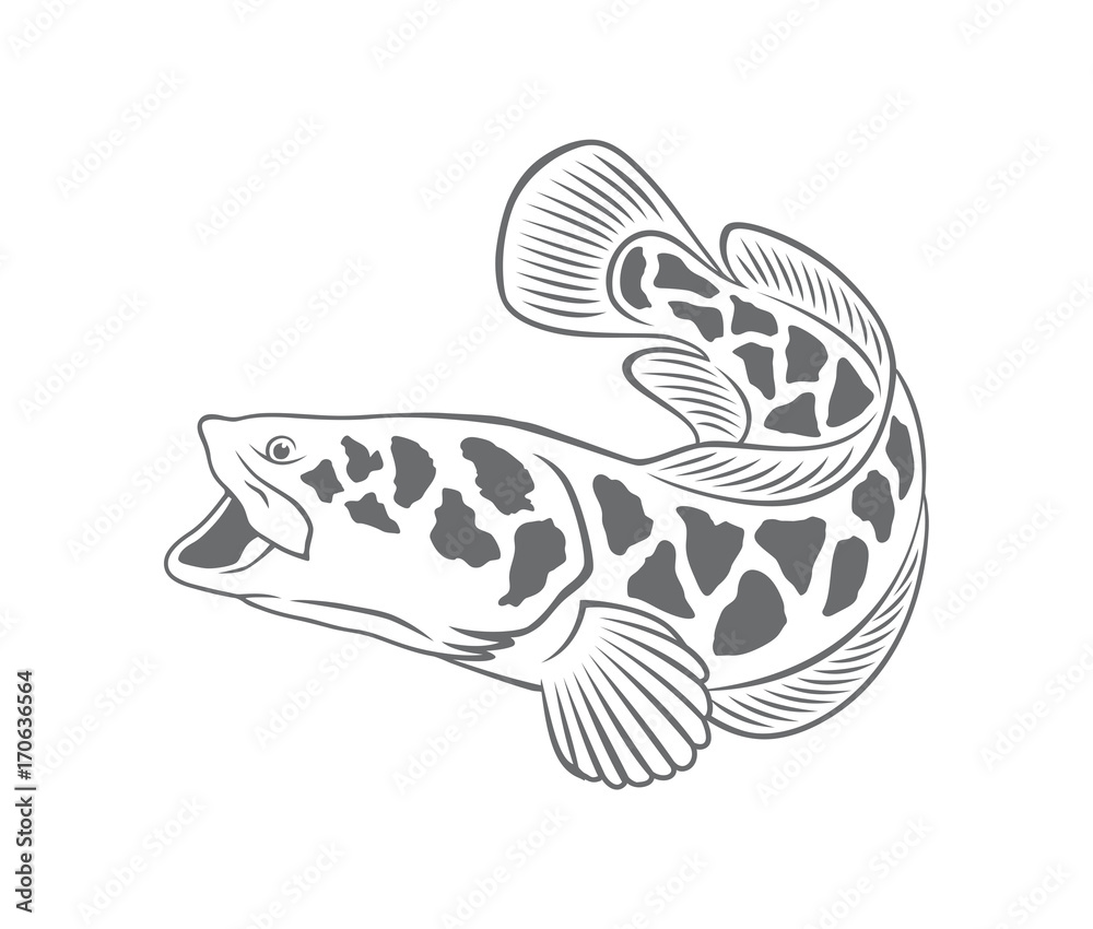 fishing on the snakehead Stock Vector | Adobe Stock