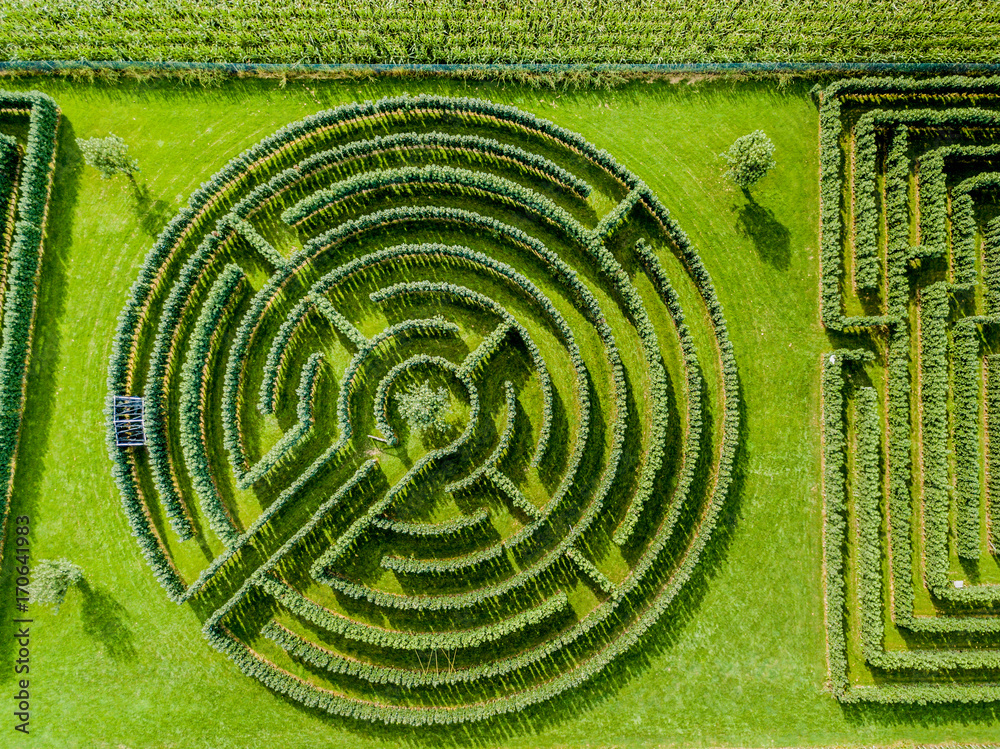 Real Maze Aerial