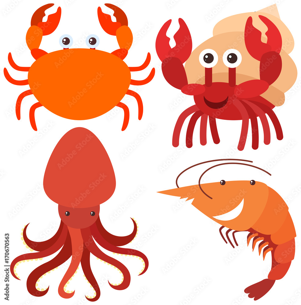 Four types of sea animals Stock Vector | Adobe Stock