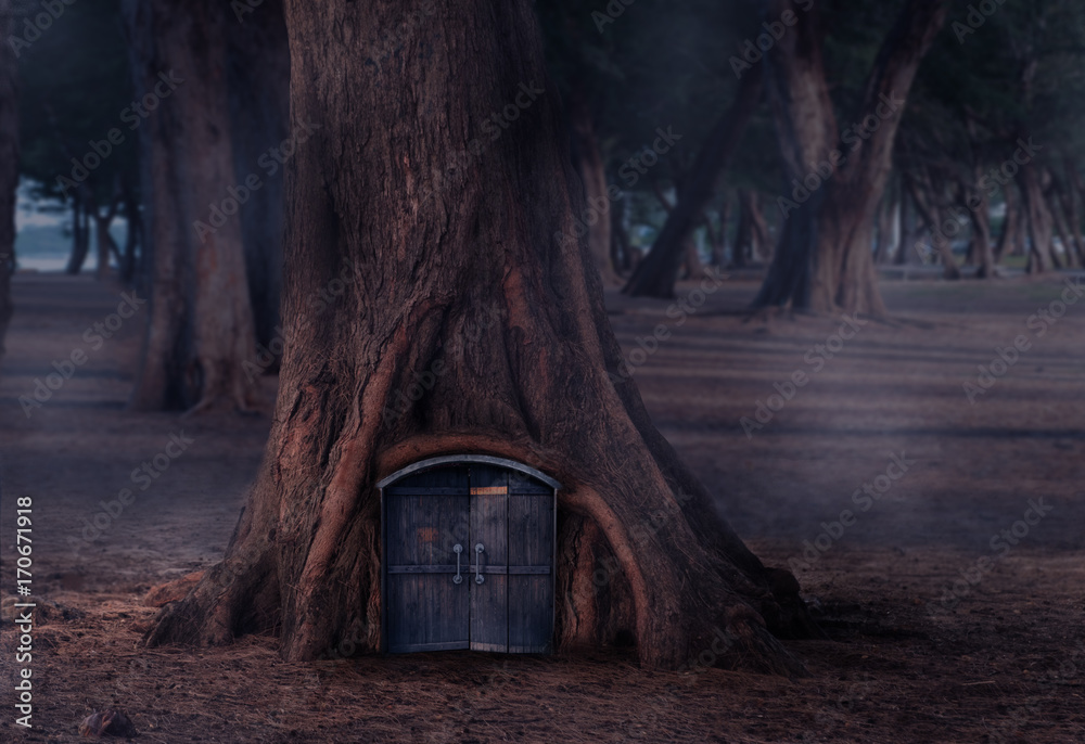 Tree house in the fairy tale with wooden doors Stock Photo | Adobe Stock